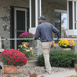 Residential Pest Control | Rove Pest Control