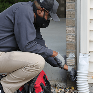 Residential Pest Control | Rove Pest Control