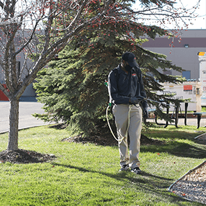 Residential Pest Control | Rove Pest Control