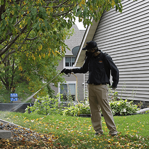 Residential Pest Control | Rove Pest Control