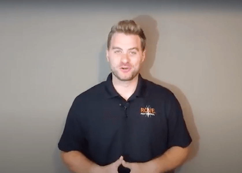 Frequently asked questions | Rove Pest Control