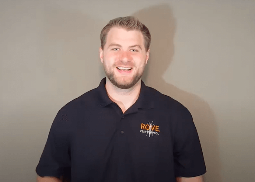 Pest Control in Minneapolis- St. Paul, MN | Price Avg. $259-$975