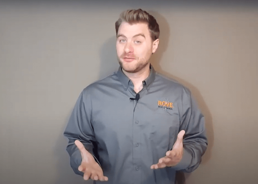 Pest Control in Madison, WI I Price Range Avg. $259-$979