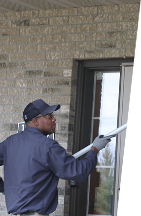 Trusted Pest Control Treatment from Experienced Exterminators