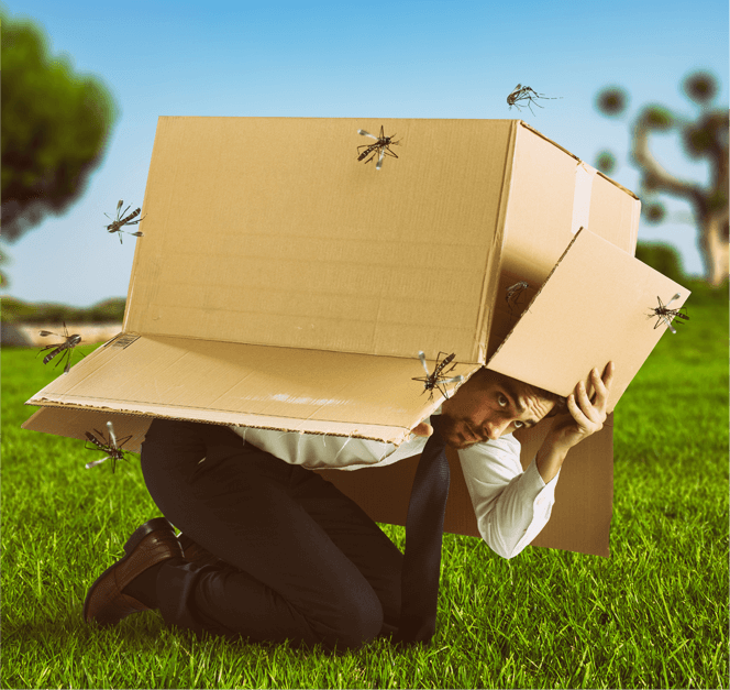 Trusted Pest Control Treatment from Experienced Exterminators